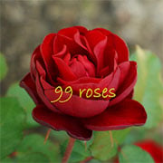 99 Roses – Room Escape - Play free online - CrazyGames-Poki