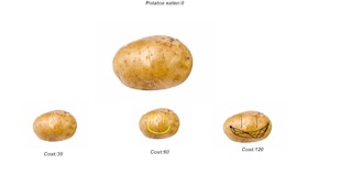 Patates - Ücretsiz online oyna - CrazyGames-Poki