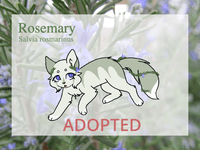 Play Herb-themed Dta Results! - Free Online Scratch Game