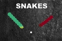Snakes - Play free online - CrazyGames-Poki
