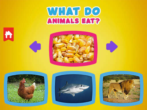What Do Animals Eat - Play free online - CrazyGames-Poki