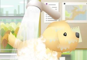 Play Pet Grooming Studio - Free Online Simulator Game