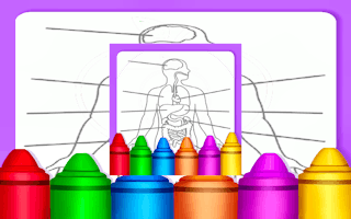 Hard Body Coloring For Kids - Play free online - CrazyGames-Poki