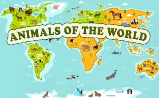 Animals Of The World - Play free online - CrazyGames-Poki