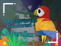 Play Macaw In The Rainforest - Free Online Scratch Game